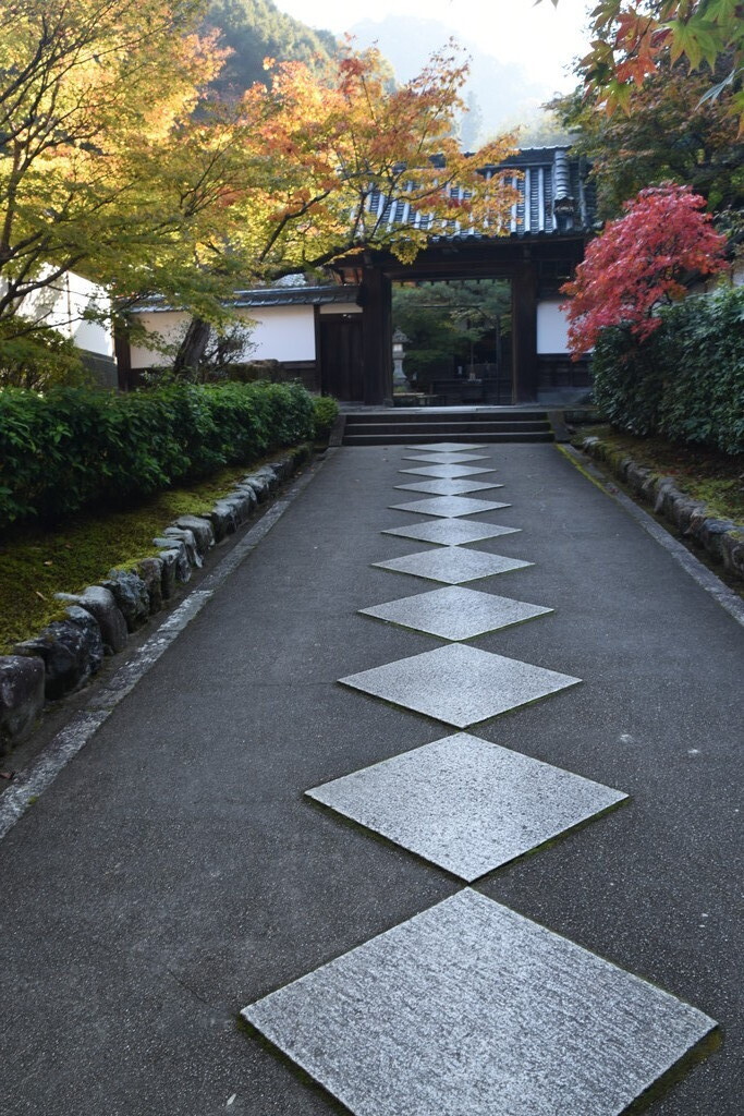 「彩 京都Ⅱ ＃6」: 「春夏秋冬 思いのままに」